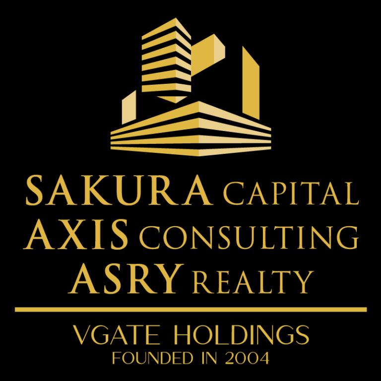 VGATE HOLDINGS - VGATE HOLDINGS Inc.